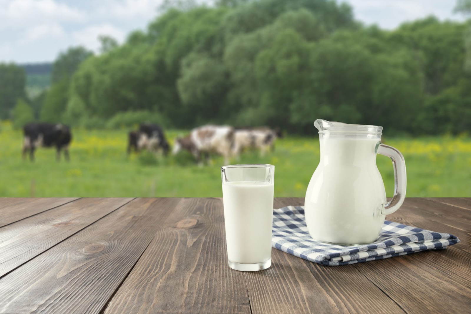 Ini Perbedaan Susu UHT dan Fresh Milk, Pilih Sesuai dengan Kebutuhan